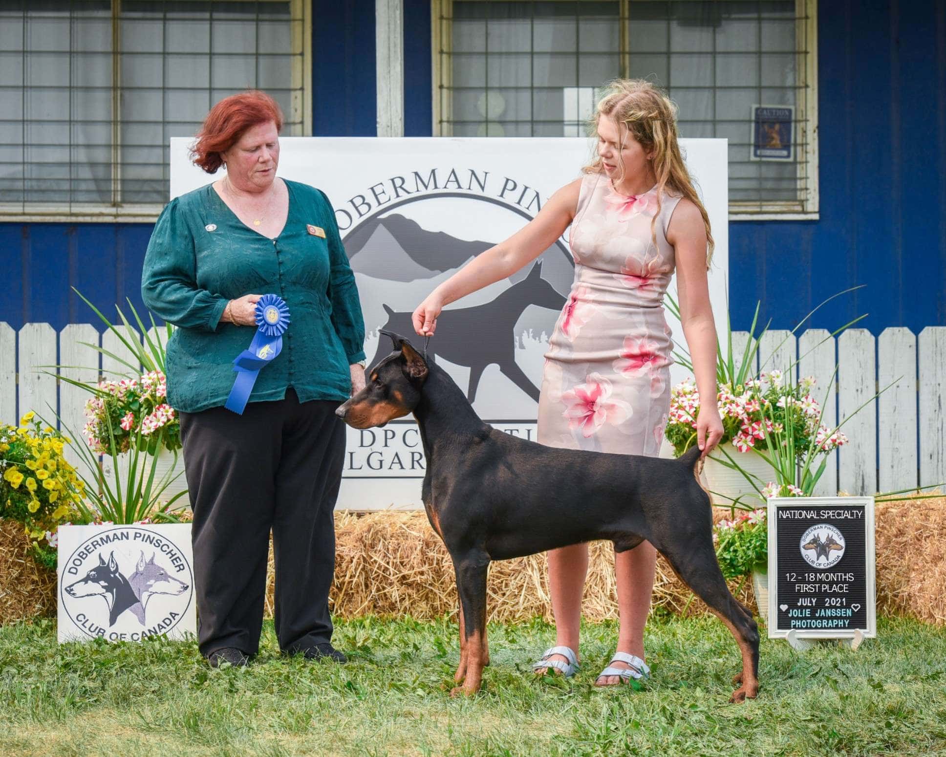 Our Boys | Brauchbar Dobermans